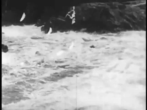 Log Stock Video Footage | Royalty Free Log Videos | Pond5