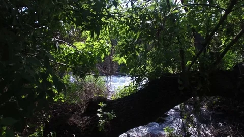 Gushing Waters Stock Videos – Royalty-Free HD & 4K Videos | Pond5