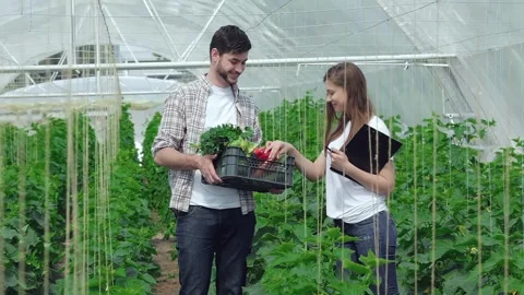 Girl Harvesting Vegetables Stock Videos – Royalty-Free HD & 4K Videos ...