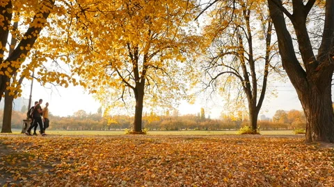 Fall Guys Falling Stock Videos – Royalty-Free HD & 4K Videos | Pond5