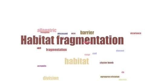 Habitat Fragmentation Wordcloud Animated... | Stock Video | Pond5