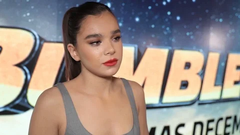 Hailee Steinfeld attending the red carpe... | Stock Video | Pond5