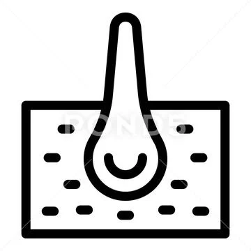 Hair bulb growing from skin surface cross section black and white ...