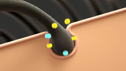 Hair Growth Animation Stock Footage ~ Royalty Free Stock Videos | Pond5