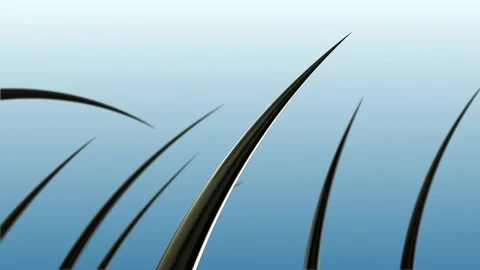 Hair Animation Stock Video Footage | Royalty Free Hair Animation Videos ...