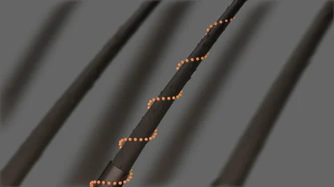 Hai Hai Stock Videos – Royalty-Free HD & 4K Videos