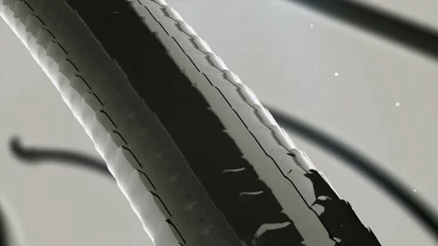 Hai$ Stock Videos – Royalty-Free HD & 4K Videos | Pond5