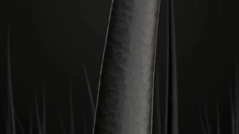 Hair Animation Stock Video Footage | Royalty Free Hair Animation Videos ...