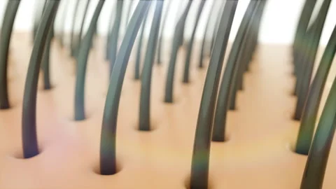 Hair Growth Animation Stock Videos – Royalty-Free HD & 4K Videos | Pond5