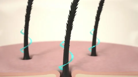 Hair Growth Animation Stock Videos – Royalty-Free HD & 4K Videos | Pond5