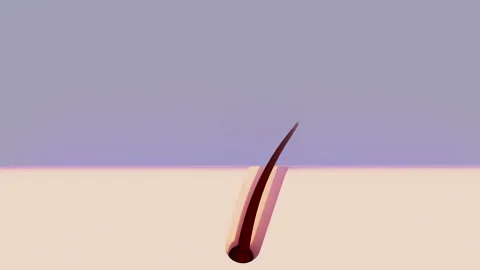 Hair Growth Animation Stock Videos – Royalty-Free HD & 4K Videos | Pond5