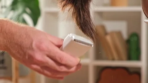 Hair cutting at home. Barber shop at hom... | Stock Video | Pond5