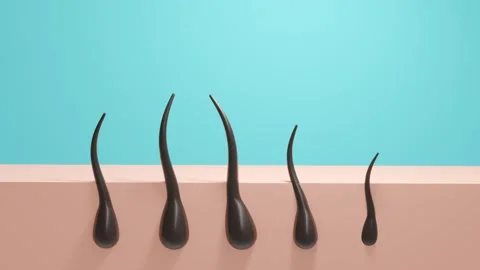Hair Growth Animation Stock Videos – Royalty-Free HD & 4K Videos | Pond5