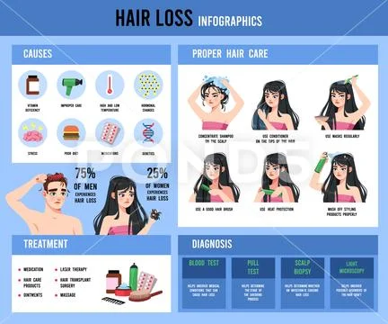 Hair loss infographic. Medical educational poster on alopecia ...