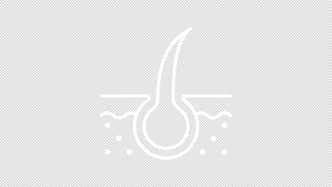 Hair Loss Animation Stock Footage ~ Royalty Free Stock Videos | Pond5