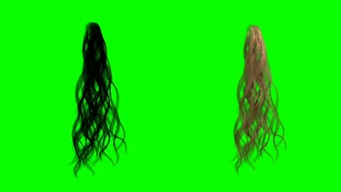 Hair Overlay Stock Footage ~ Royalty Free Stock Videos | Pond5