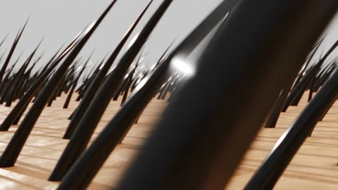 Hair on Scalp 3D Animation | Stock Video | Pond5