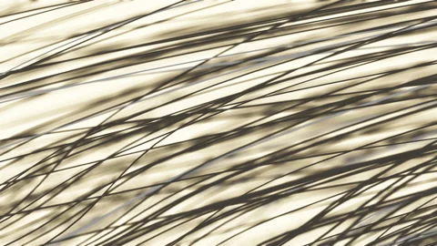 Hair simulation | Stock Video | Pond5