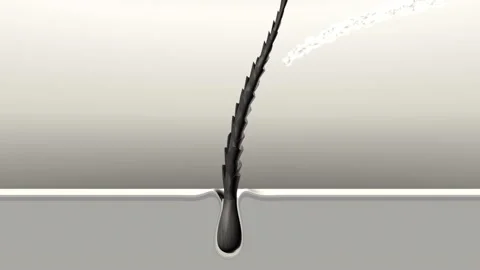 Hair treatment 3d animation. | Stock Video | Pond5