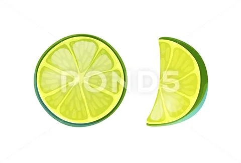 Half and quarter of lime, cartoon vector drawing Illustration #128627012