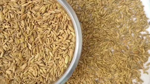 Circle Of Flavours Stock Videos – Royalty-Free HD & 4K Videos | Pond5