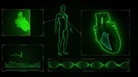 Heart Ventricle Stock Video Footage | Royalty Free Heart Ventricle ...