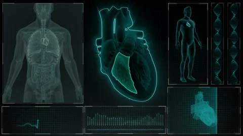 Heart Ventricle Stock Video Footage | Royalty Free Heart Ventricle ...