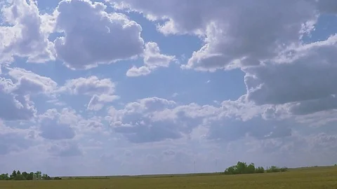 Half Window Down Stock Videos – Royalty-Free HD & 4K Videos