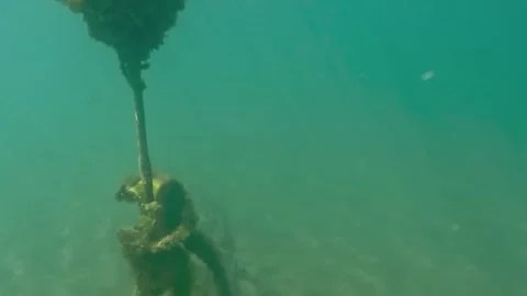 Half underwater tilt up view from seaflo... | Stock Video | Pond5