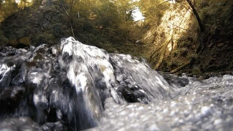 Underwater Camera Fishing Stock Videos – Royalty-Free HD & 4K Videos ...