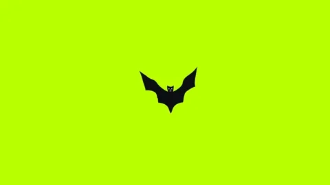 Halloween bat Flying Animation on Green ... | Stock Video | Pond5