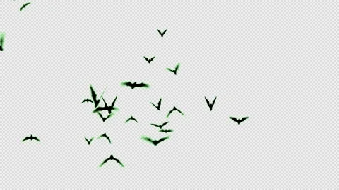 halloween bat flying loop motion graphic... | Stock Video | Pond5