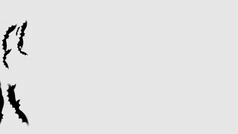 Bats Bat Transition Stock Videos – Royalty-Free HD & 4K Videos