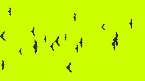 Bats Flying Green Screen Stock Videos – Royalty-Free HD & 4K Videos