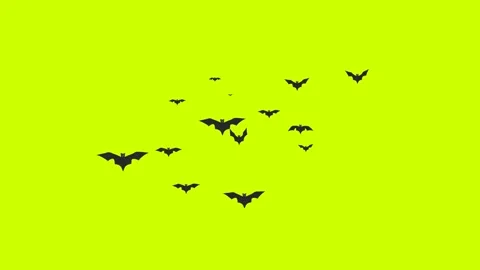 Halloween bats Flying Animation on Green... | Stock Video | Pond5