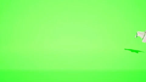 Greenscreen Ghost Stock Video Footage | Royalty Free Greenscreen Ghost ...