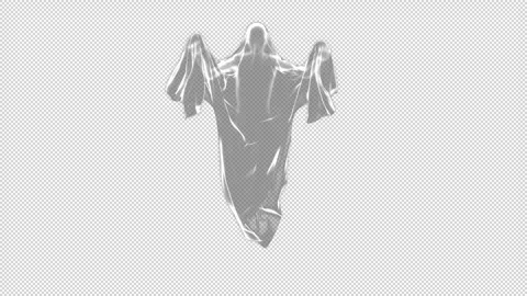 Ghost Overlay Stock Footage ~ Royalty Free Stock Videos | Pond5
