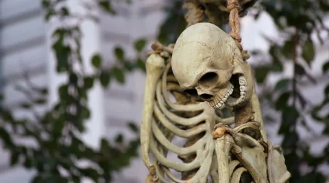 Hanging Skeletons Stock Videos – Royalty-Free HD & 4K Videos | Pond5