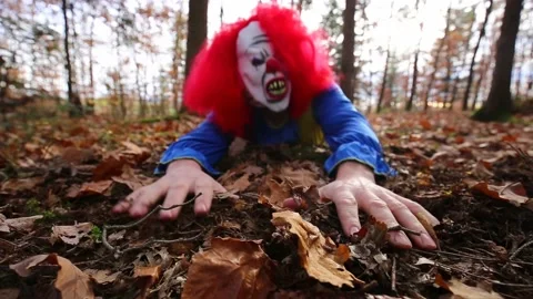 Clown Hair Stock Videos – Royalty-Free HD & 4K Videos | Pond5