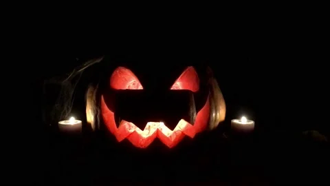 Pumpking Art Stock Videos – Royalty-Free HD & 4K Videos