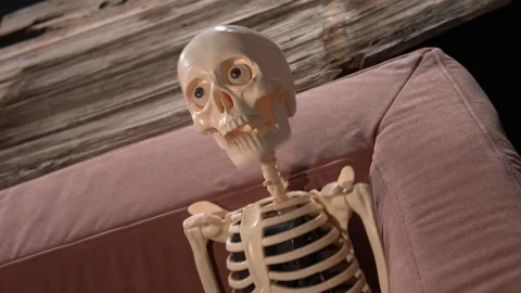 Skull Shaking Head Stock Videos – Royalty-Free HD & 4K Videos