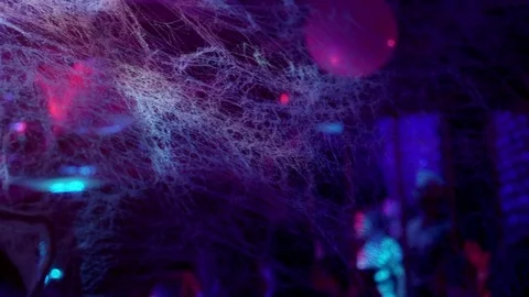 Spider Web Music Stock Videos – Royalty-Free HD & 4K Videos | Pond5