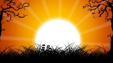 3X5 Halloween Backdrop Stock Videos – Royalty-Free HD & 4K Videos | Pond5