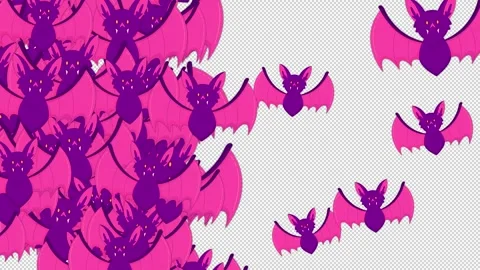 Bats Bat Transition Stock Videos – Royalty-Free HD & 4K Videos