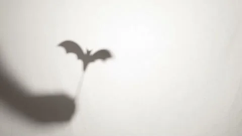 Shadow Puppets Stock Footage ~ Royalty Free Stock Videos | Pond5