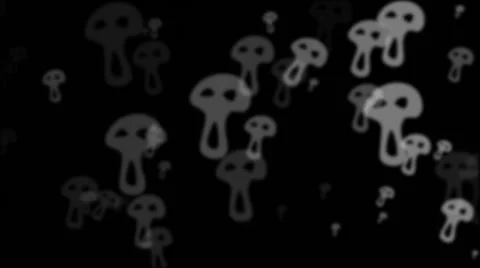 White Face Howl Stock Videos – Royalty-Free HD & 4K Videos