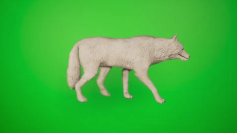 Halloween Wolverine Green screen v2 | Stock Video | Pond5