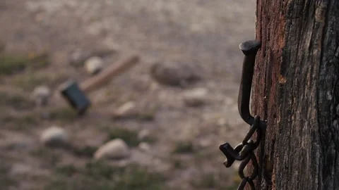 "The Jesus Rolls Stock Videos – Royalty-Free HD & 4K Videos | Pond5