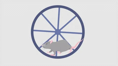 Hamster Cartoon Stock Videos – Royalty-Free HD & 4K Videos