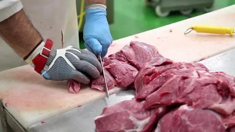 Chainmail Stock Video Footage | Royalty Free Chainmail Videos | Pond5